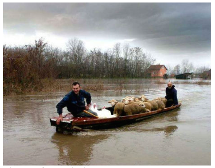 LIVE BLOGS AND UPDATES: Devastating Floods in Bosnia and Serbia